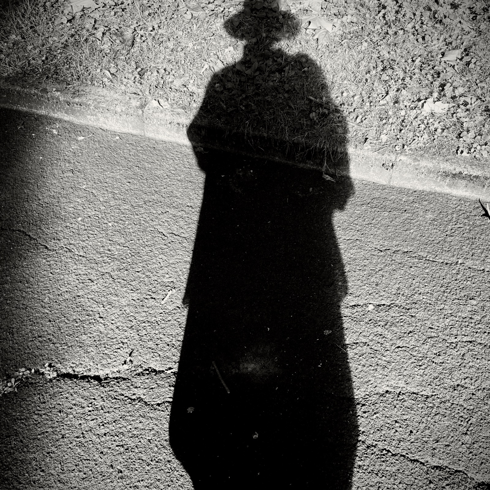 Samhain, Shadow Work & Reiki Drum – Nature-focused, Shamanic Reiki ...